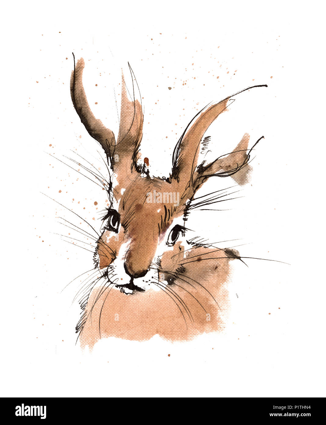 Animal painting big eyes Cut Out Stock Images & Pictures - Alamy