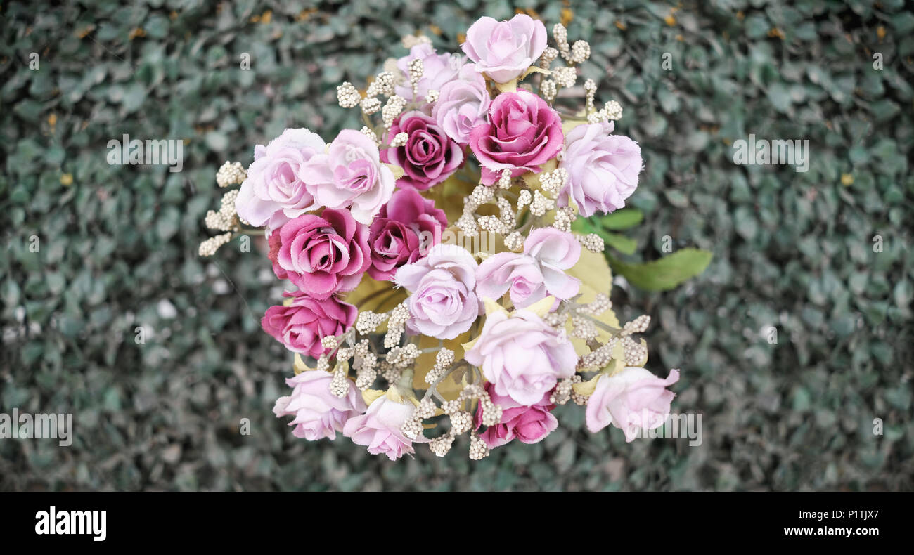 Gradient flowers hi-res stock photography and images - Alamy