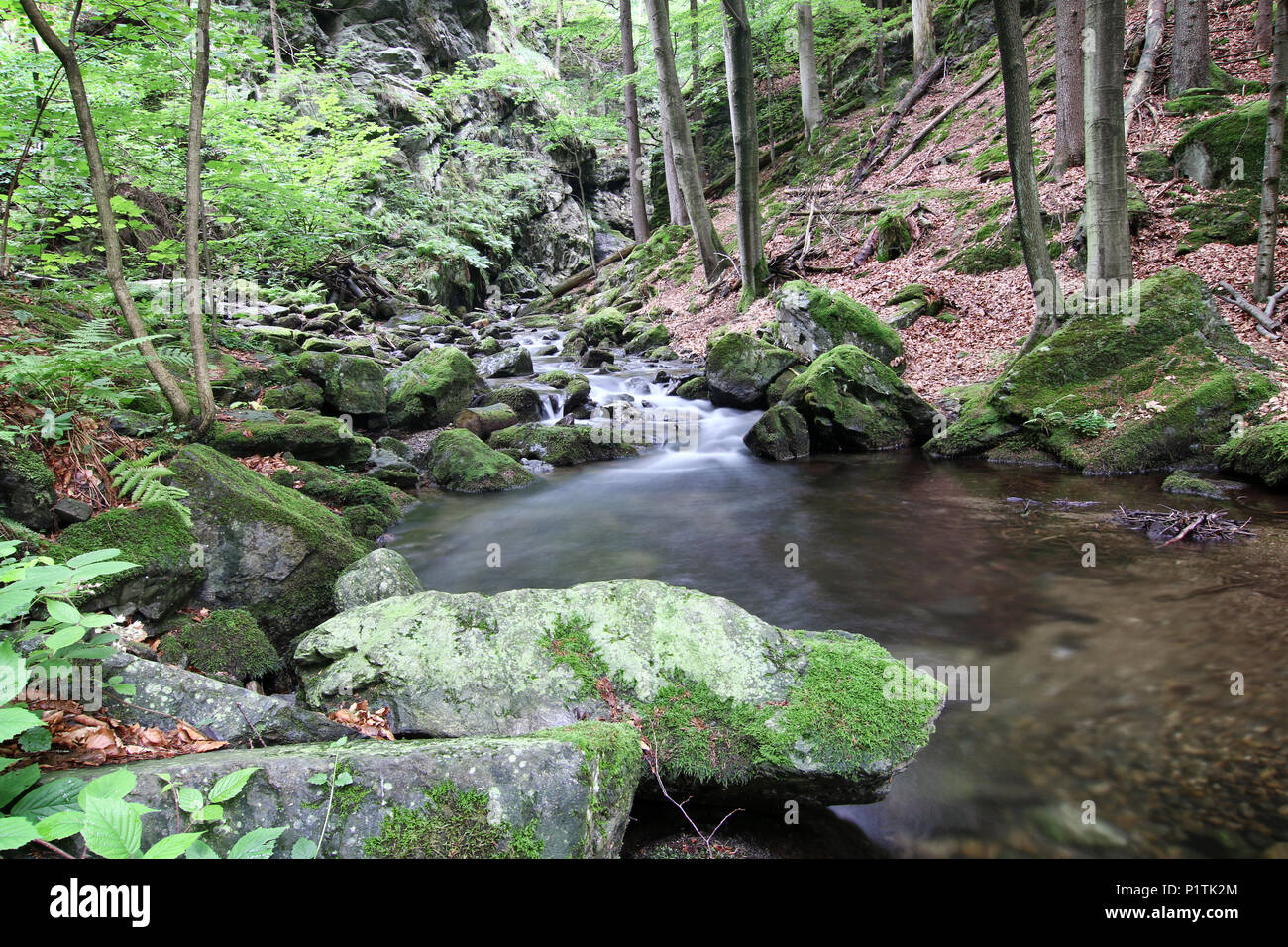 Abstract detail of the water flowing over rocks in a forest Stock Photo ...