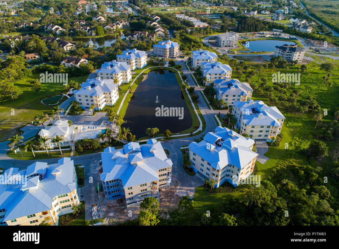 Palma sola hi-res stock photography and images - Alamy
