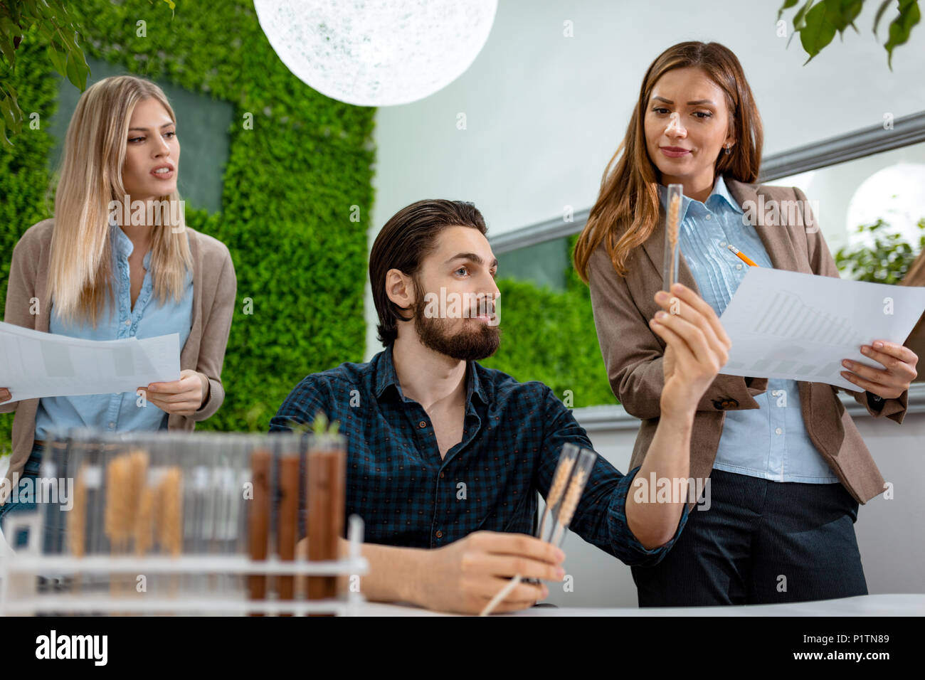 University biologists colleagues checking a quality of wheat and ...