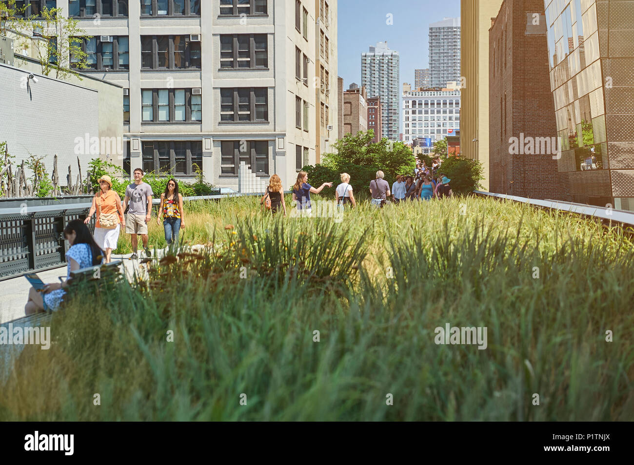 High line new york park 2012 hi-res stock photography and images - Alamy