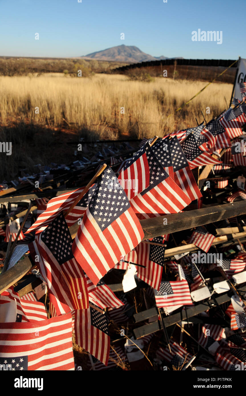 American immigrants flags hi-res stock photography and images - Alamy
