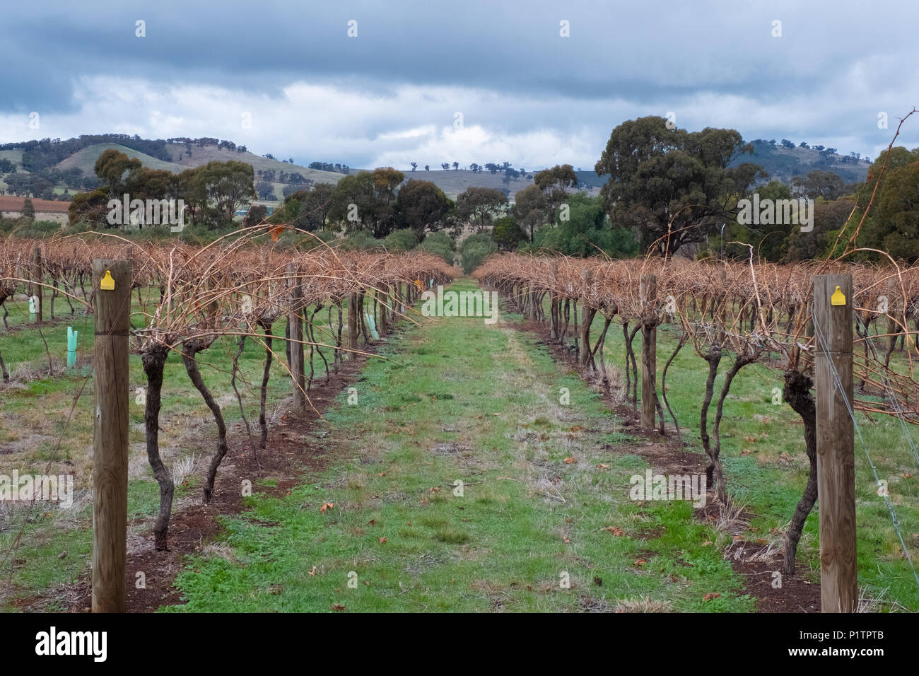 Heathcote victoria hi-res stock photography and images - Alamy