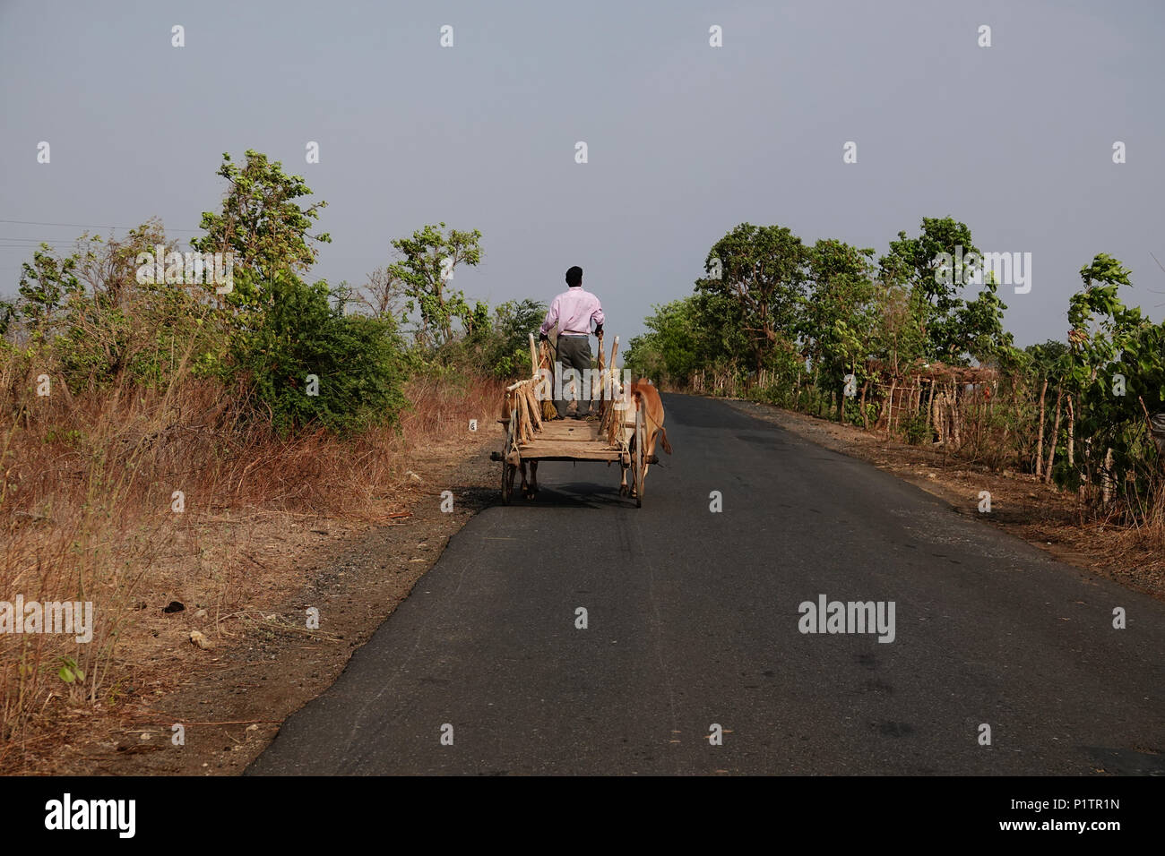Maharashtra farmer hi-res stock photography and images - Alamy