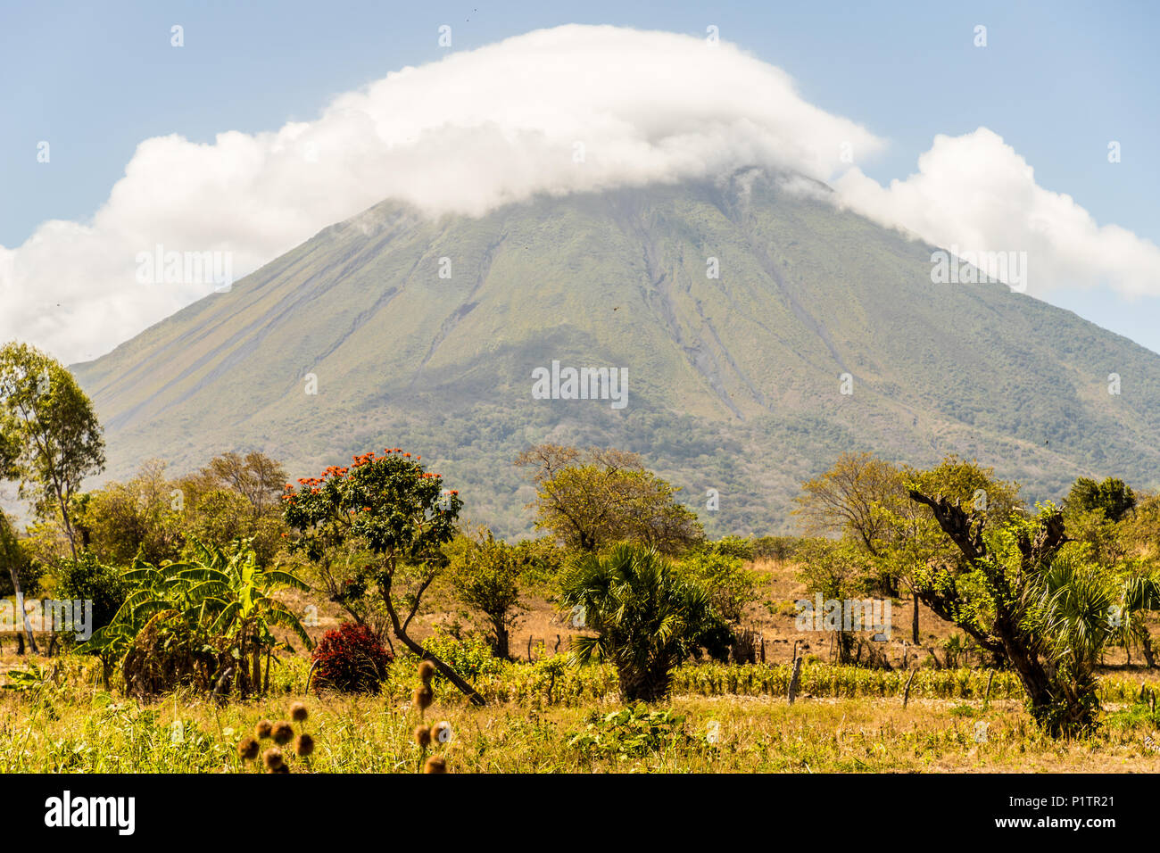 Nicaragua volcan volcano volcan concepcion hi-res stock photography and ...
