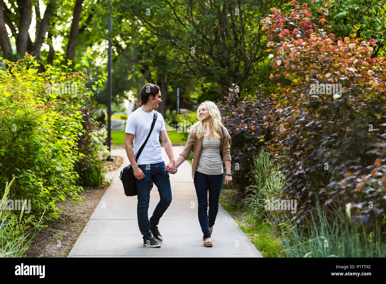 A young couple walking down a path on the university campus holding ...
