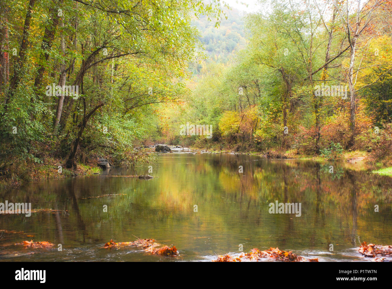 Stream and fall colors hi-res stock photography and images - Alamy