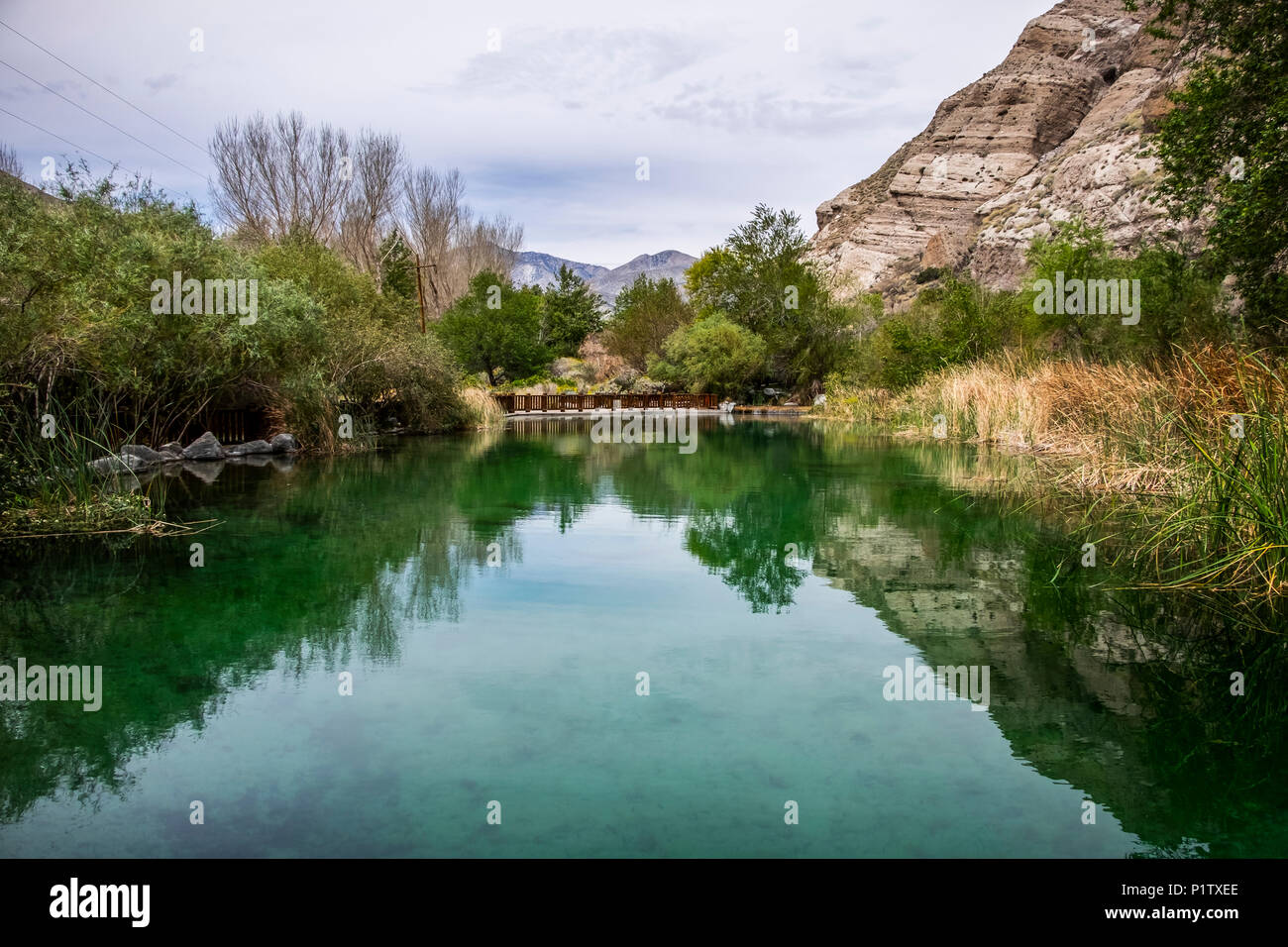 Riverside pond hi-res stock photography and images - Alamy