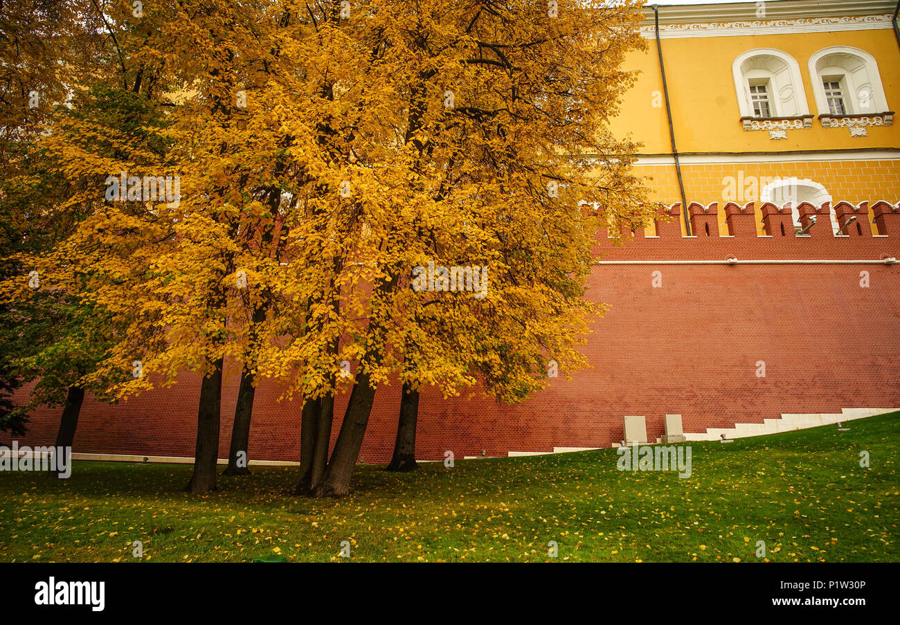 Ancient palace with autumn trees in rainy day Stock Photo - Alamy