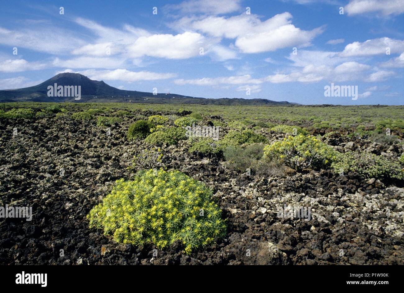"Cueva de Los Verdes" next to "Jameos de Agua"; Corona volcano at the ...