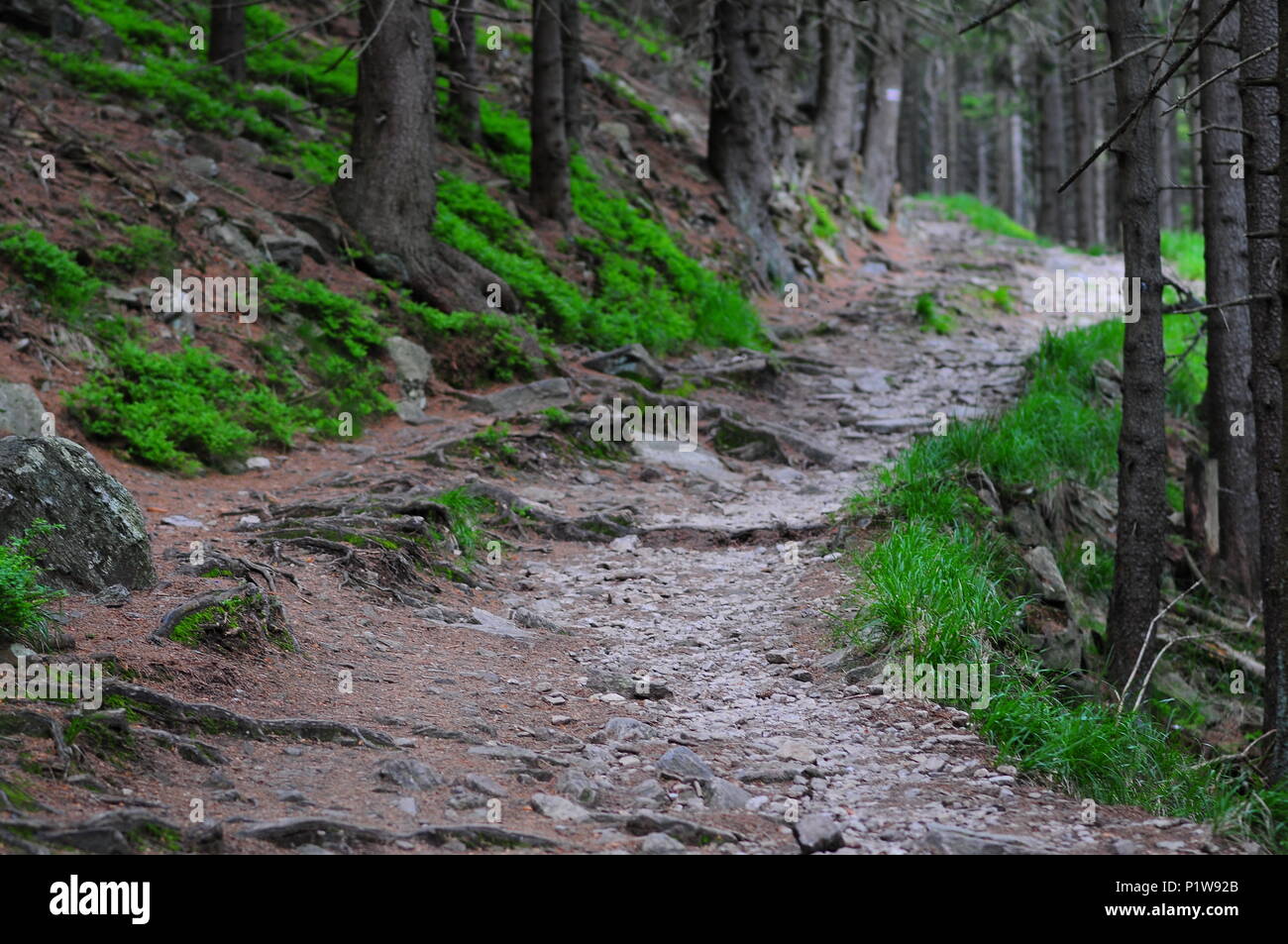 Lower silesia poland in the spring hi-res stock photography and images ...