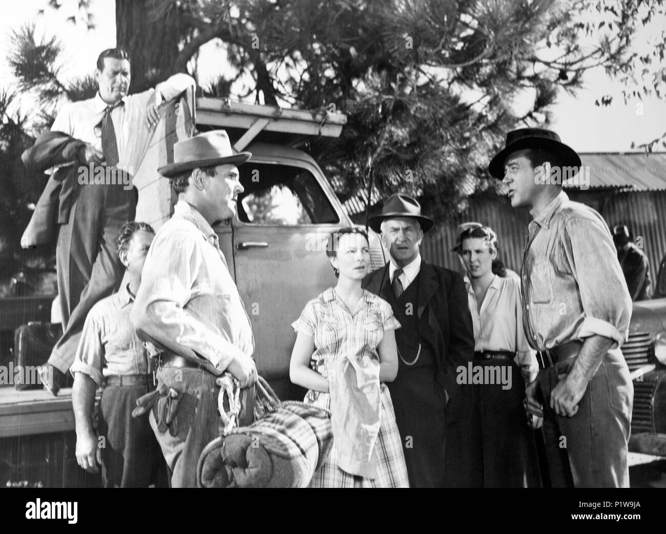 Into the forest film Black and White Stock Photos & Images - Alamy