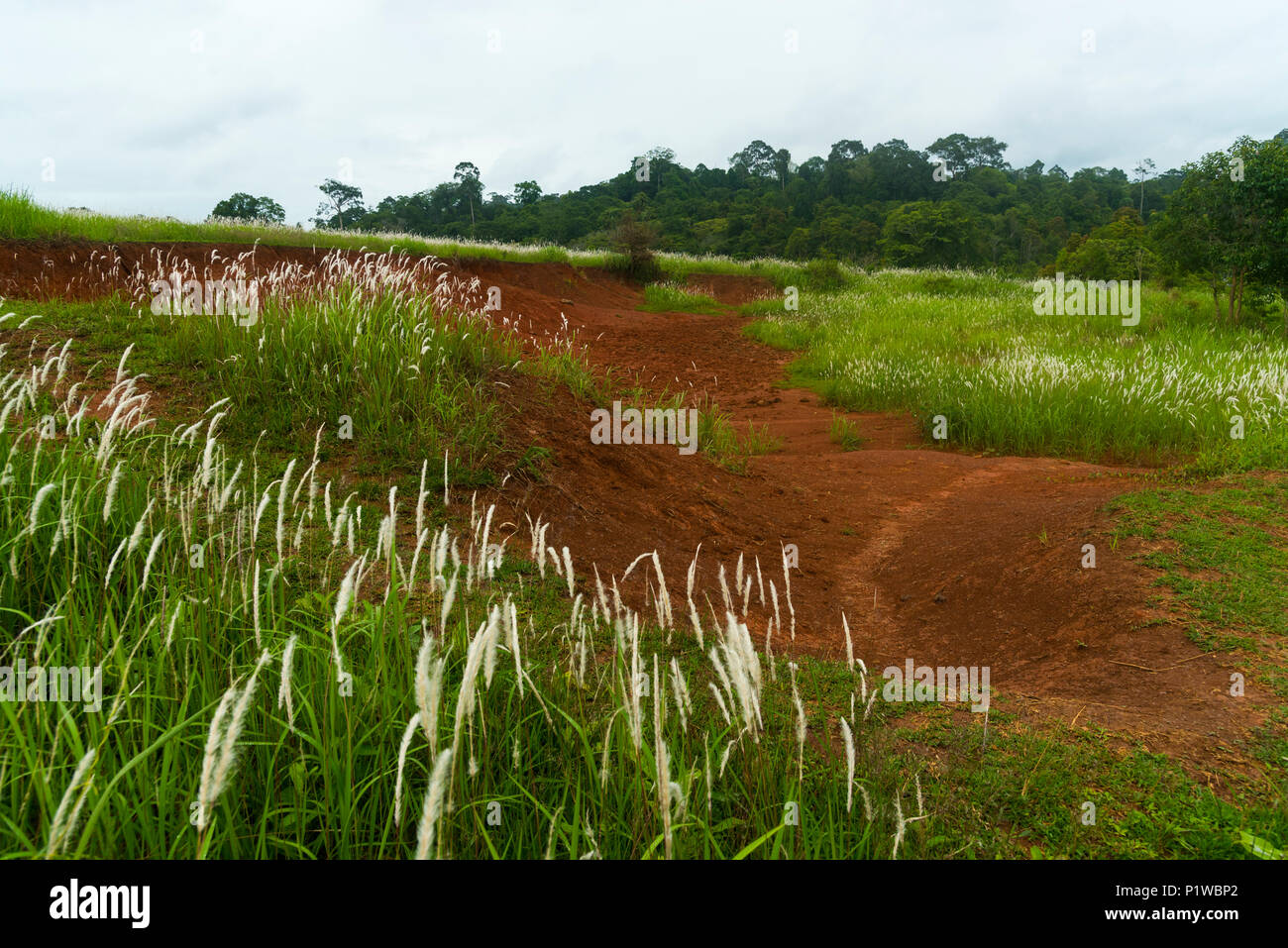 nature outdoor field Stock Photo - Alamy