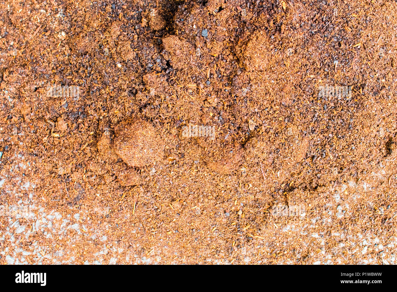 Raw soil creative texture and pattern for design and decoration on ...