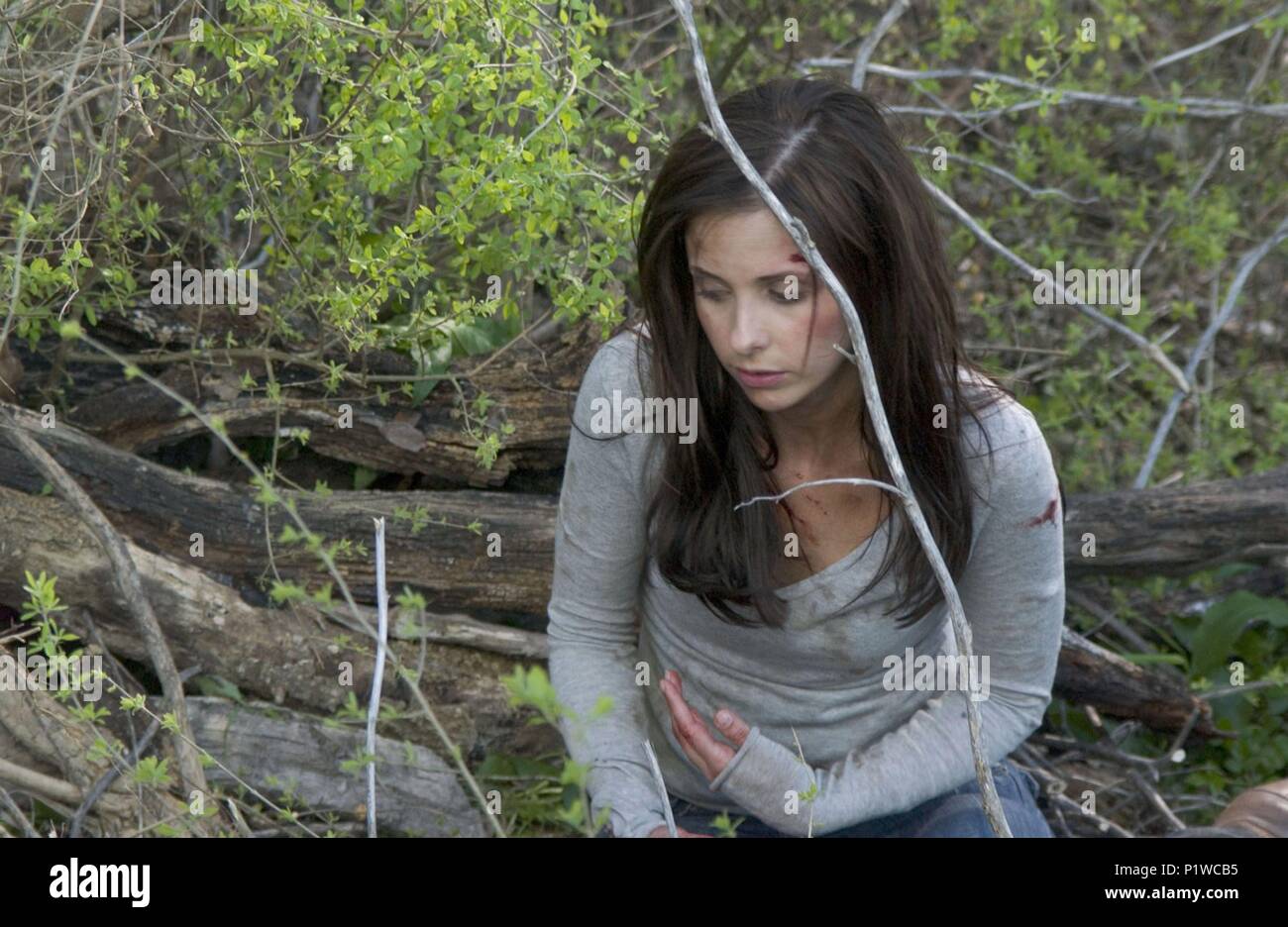 Original Film Title: THE RETURN. English Title: THE RETURN. Film ...