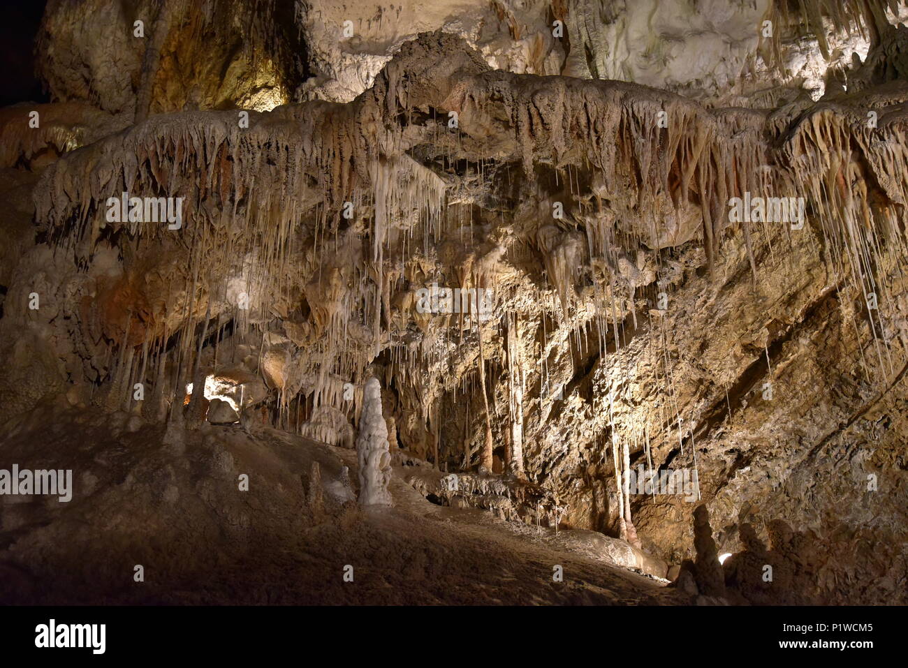 Mole Creek Limestone cave, Tasmania, Australia Stock Photo - Alamy