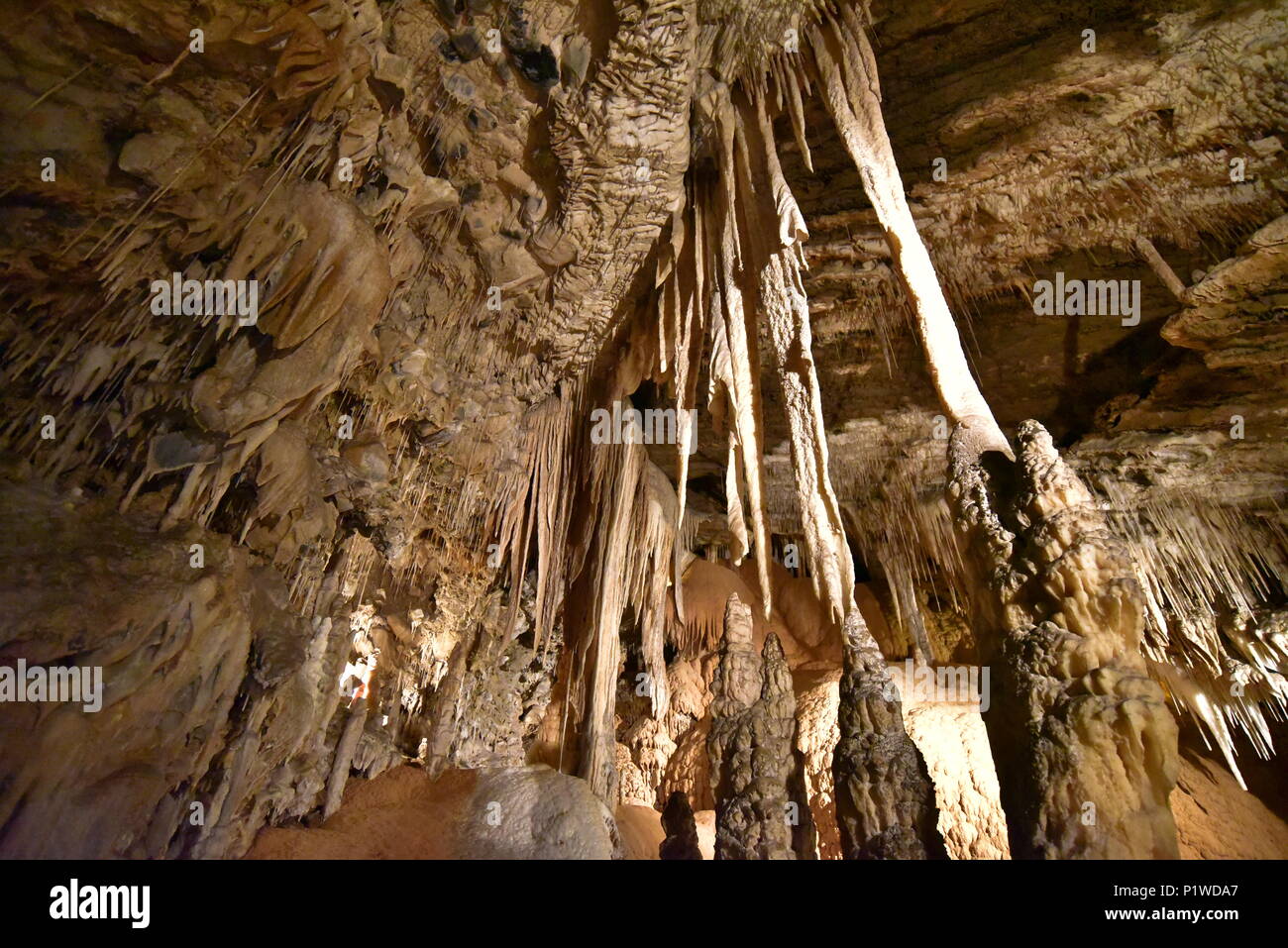 Mole Creek Limestone cave, Tasmania, Australia Stock Photo - Alamy