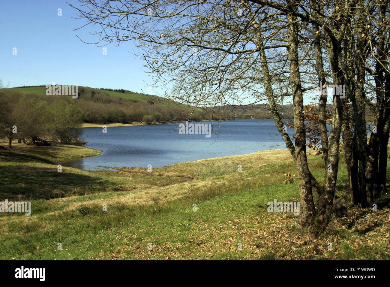 O incio hi-res stock photography and images - Alamy