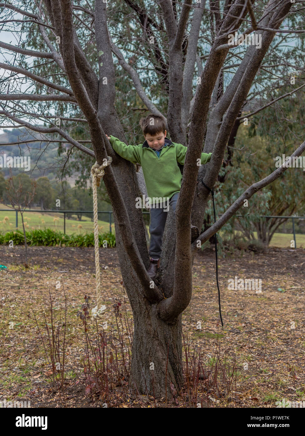 Boy climbing a tree hi-res stock photography and images - Alamy