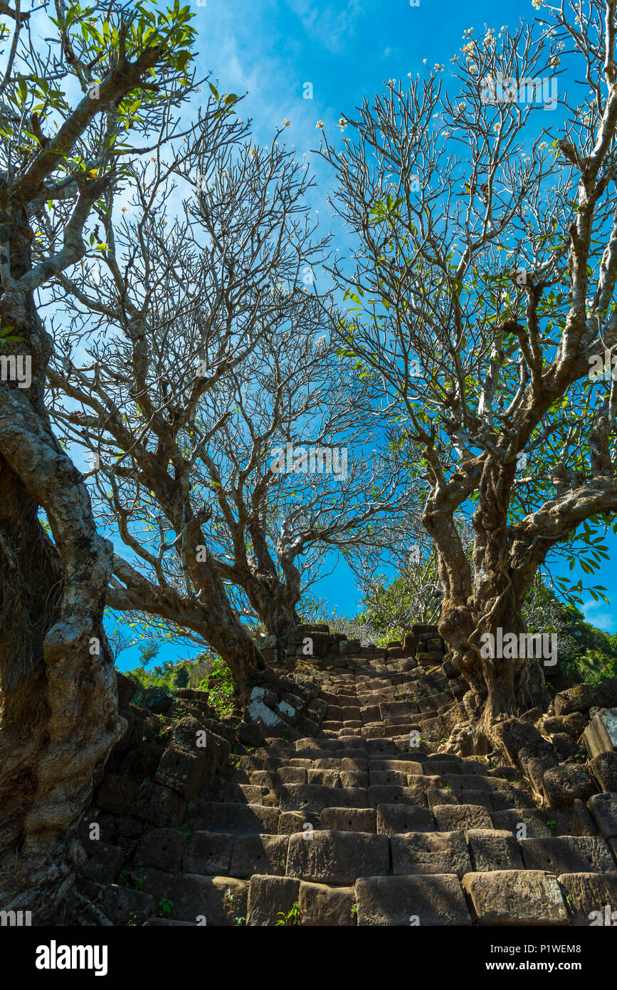 Ancient Wat Phu Khmer temple, Pakse, Champasak,Laos. Rock carving of ...