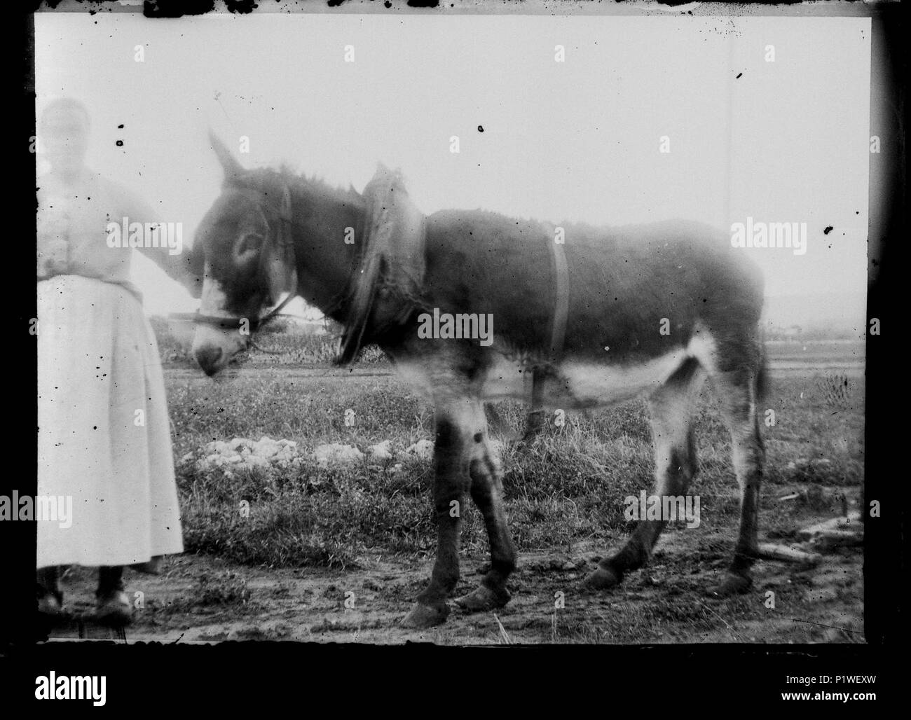 Tenu Black and White Stock Photos & Images - Alamy