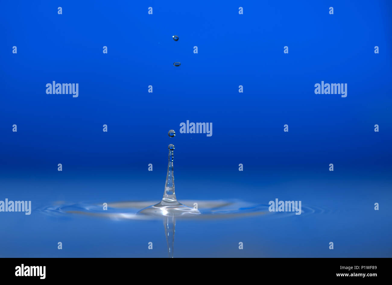 Water drop falling into water making a perfect droplet splash Stock ...