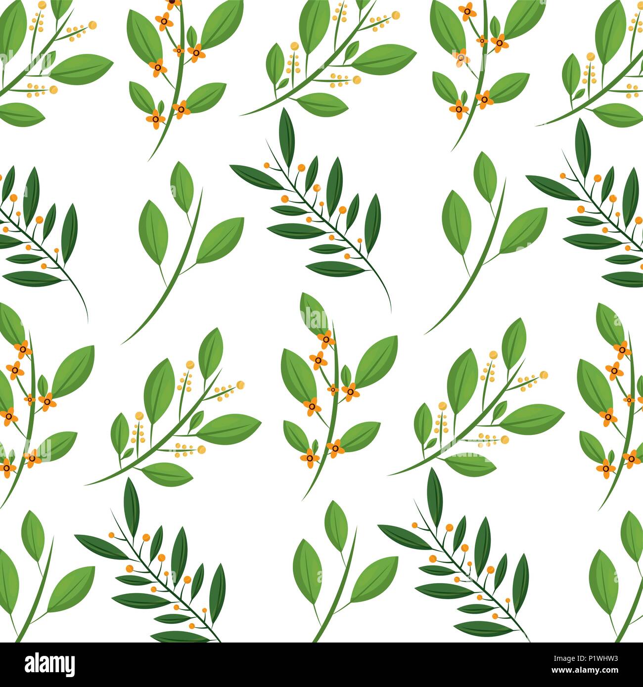 natural branches seeds leaves herbal pattern vector illustration Stock ...