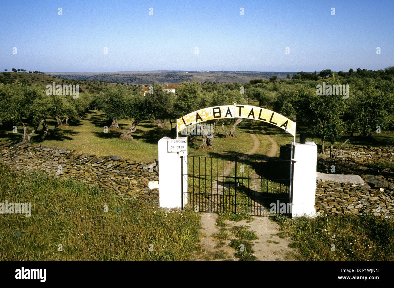 farm near Alcántara; entrance and holm oaks fields Stock Photo - Alamy
