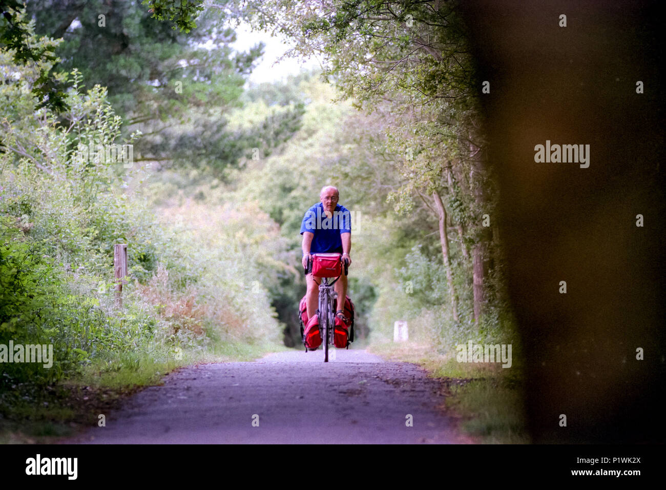 Angus Clarke cycling on the Cuckoo Trail Stock Photo - Alamy