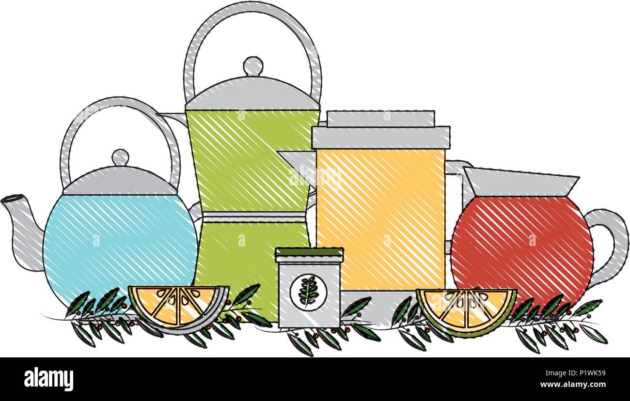 coffee makers and teapot herbal branch natural vector illustration ...