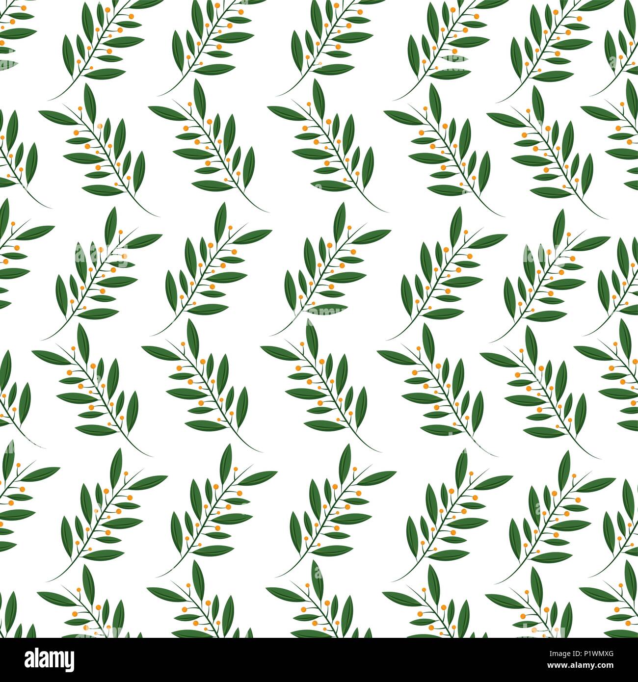 branches natural seeds botanical design background vector illustration ...