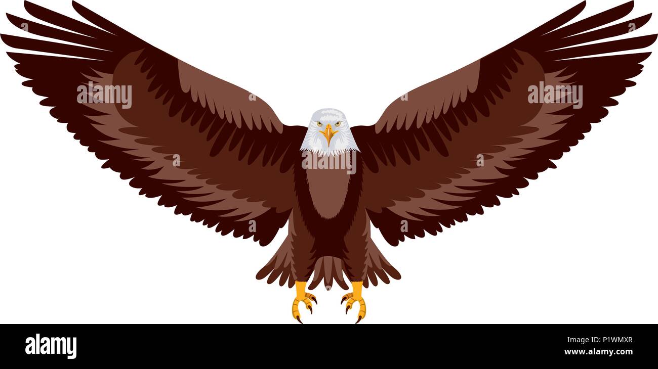 american eagle open wings bird vector illustration Stock Vector Image ...
