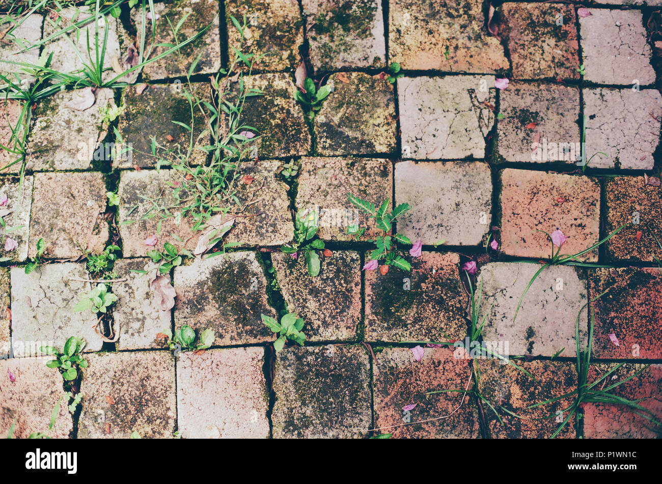 Floor tile texture hi-res stock photography and images - Alamy