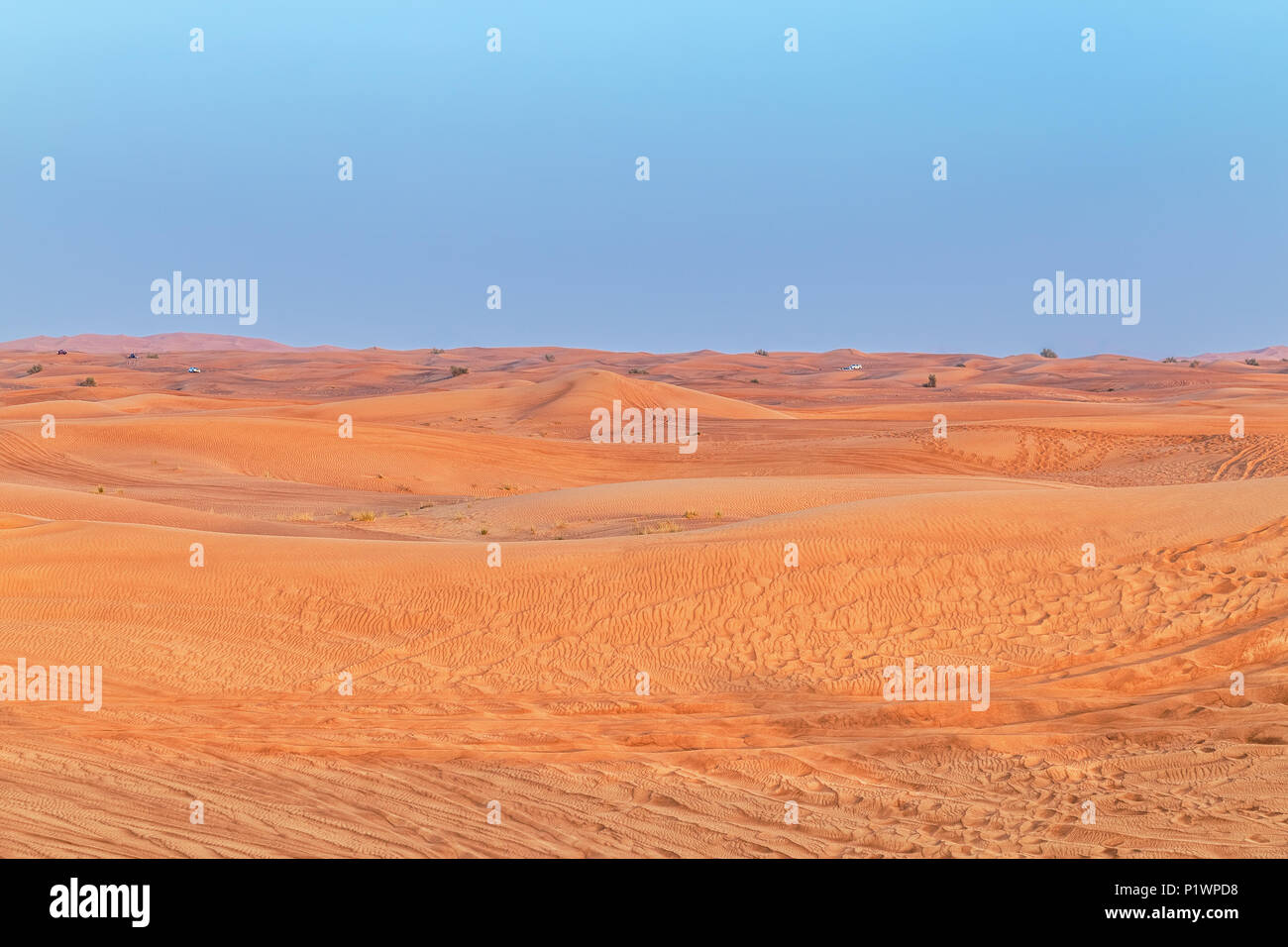 Beautiful sand dunes in the desert Stock Photo - Alamy