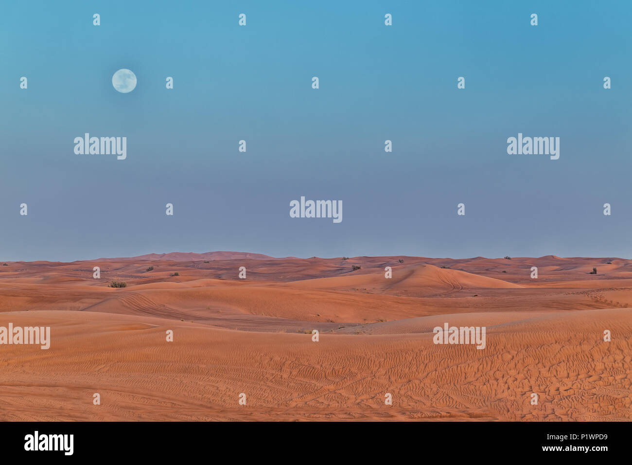 Beautiful sand dunes in the desert Stock Photo - Alamy