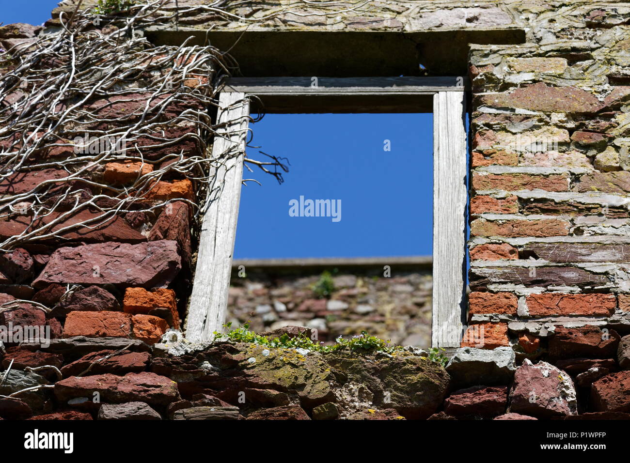 Old window frame in ruins against a blue sky Dale Pembrokeshire Wales ...