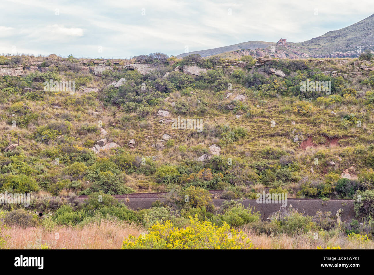 Lady barkly hi-res stock photography and images - Alamy