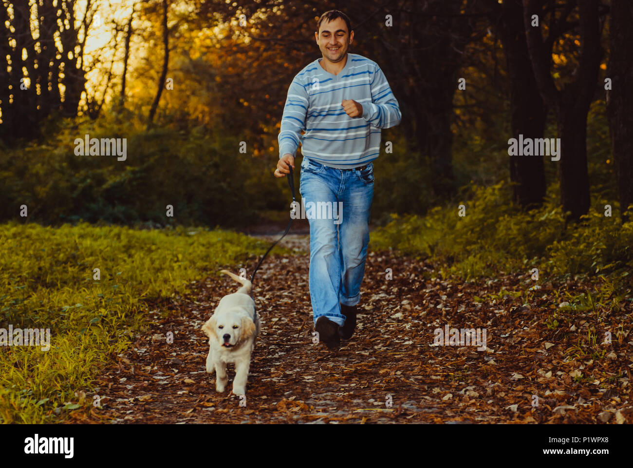 Golden retriever dog with owner Stock Photo - Alamy