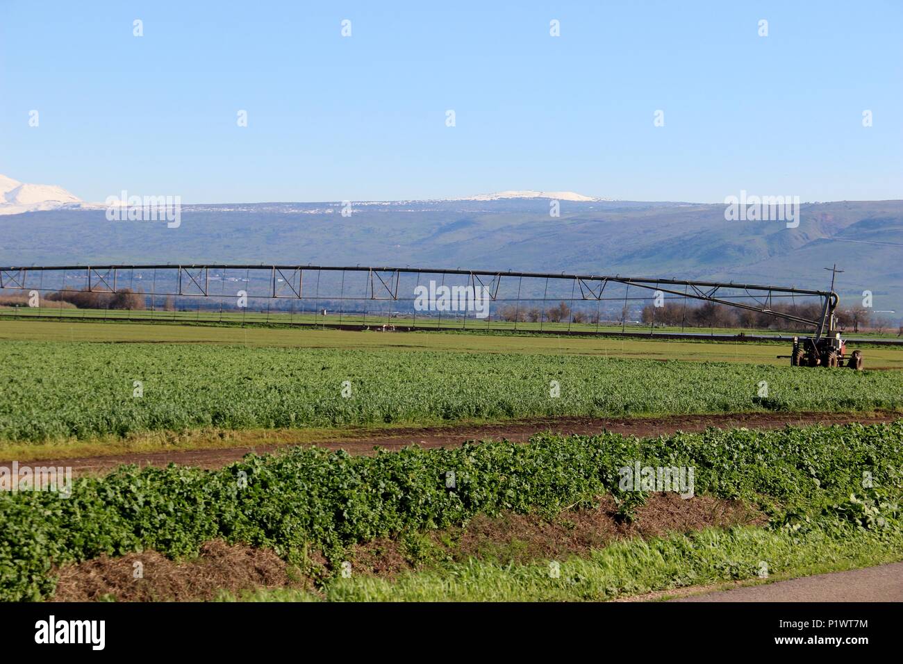 Lake hula Israel, hula nature reserve Stock Photo - Alamy