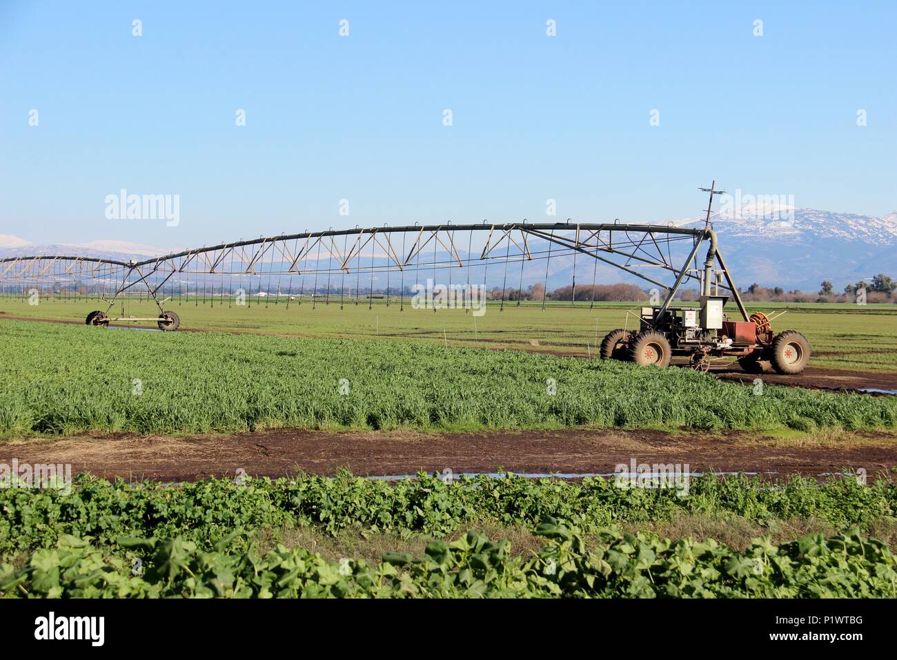 Lake hula Israel, hula nature reserve Stock Photo - Alamy