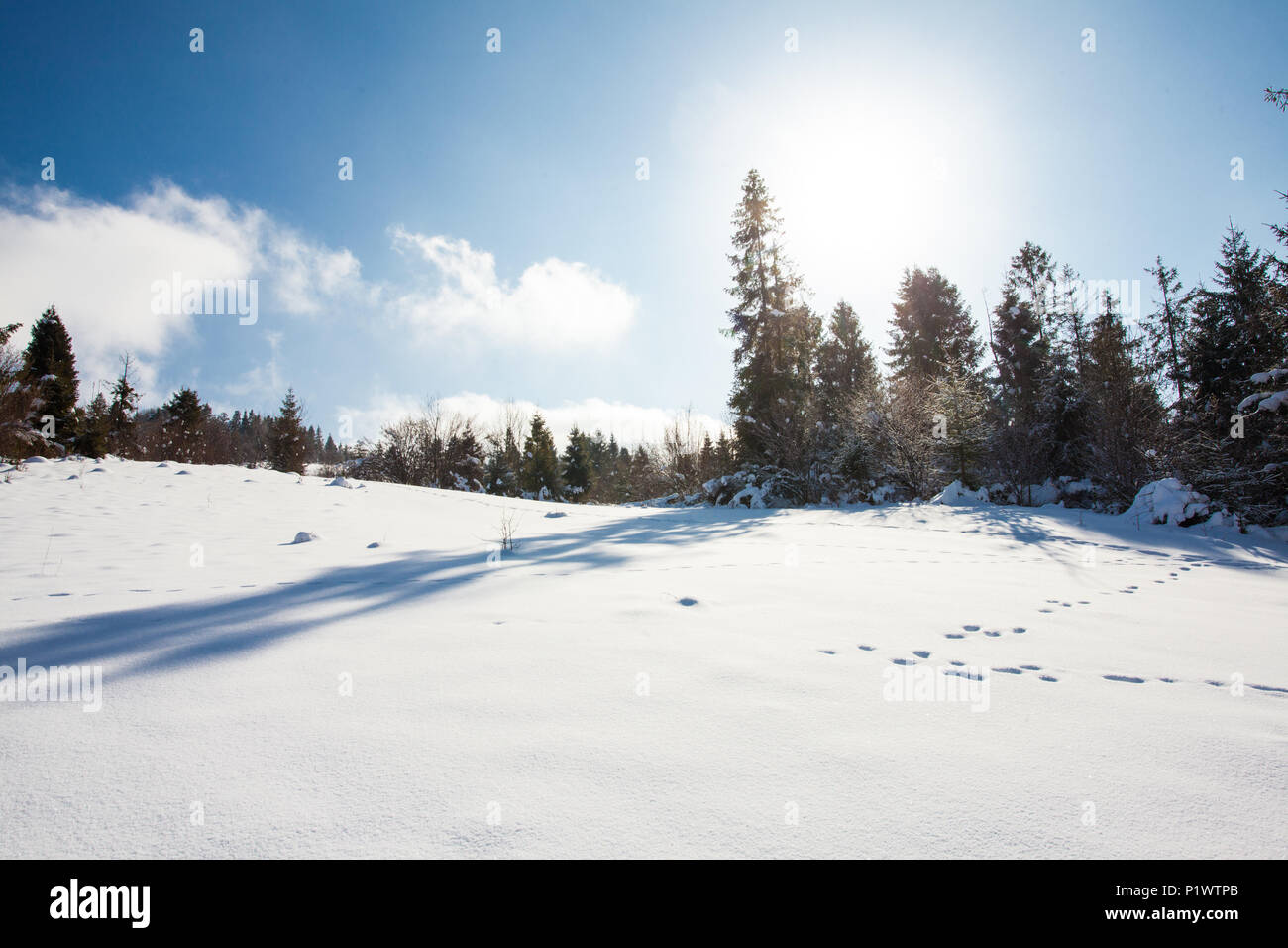 Nice looking blue color hi-res stock photography and images - Alamy