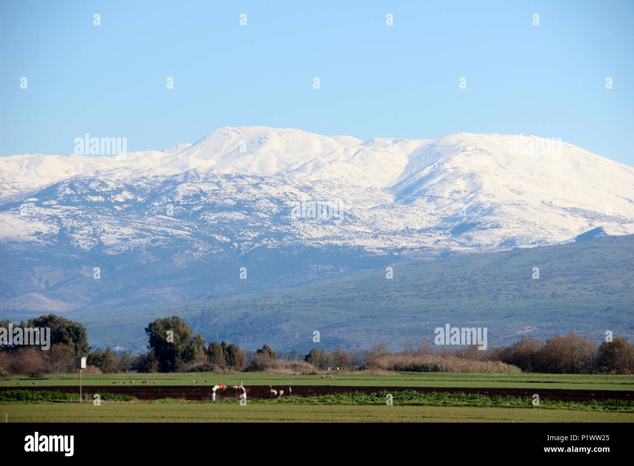 Lake hula Israel, hula nature reserve Stock Photo - Alamy