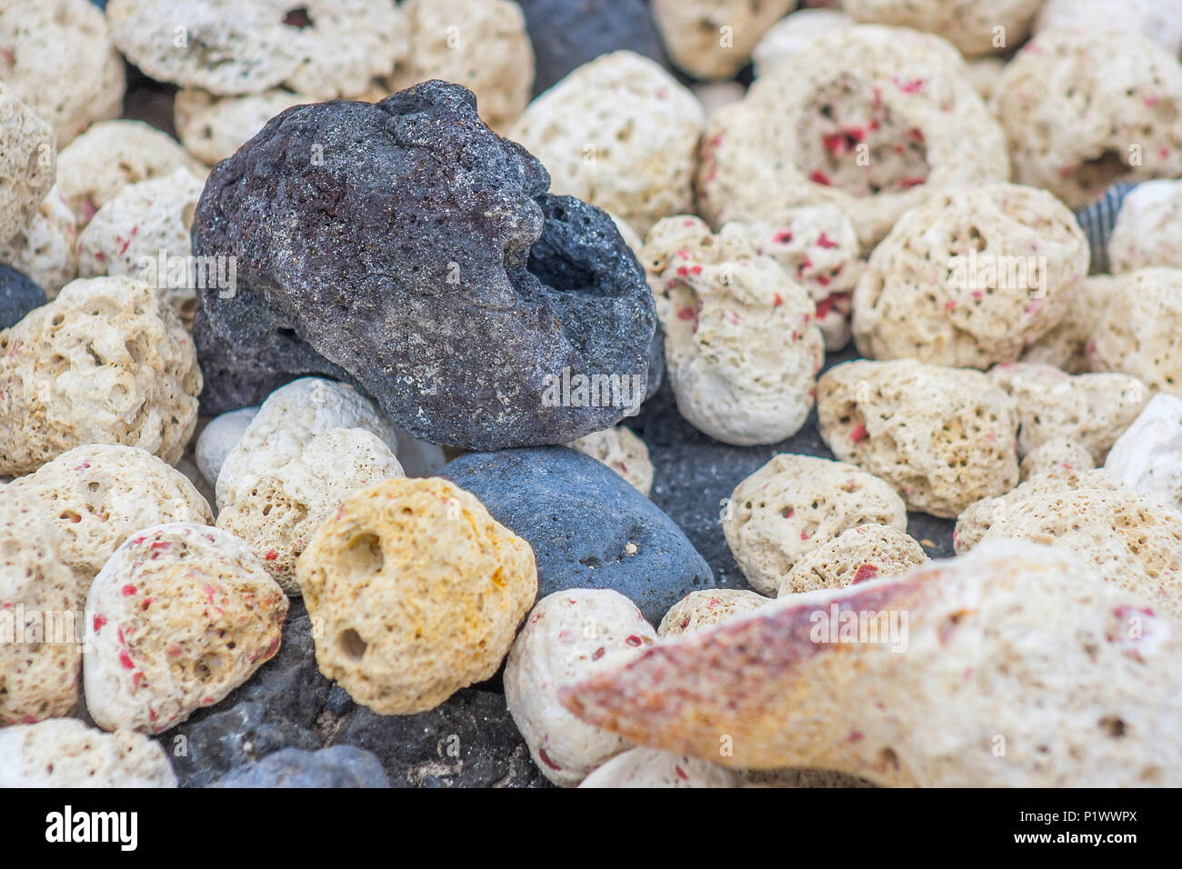 Beach ascension island hi-res stock photography and images - Alamy