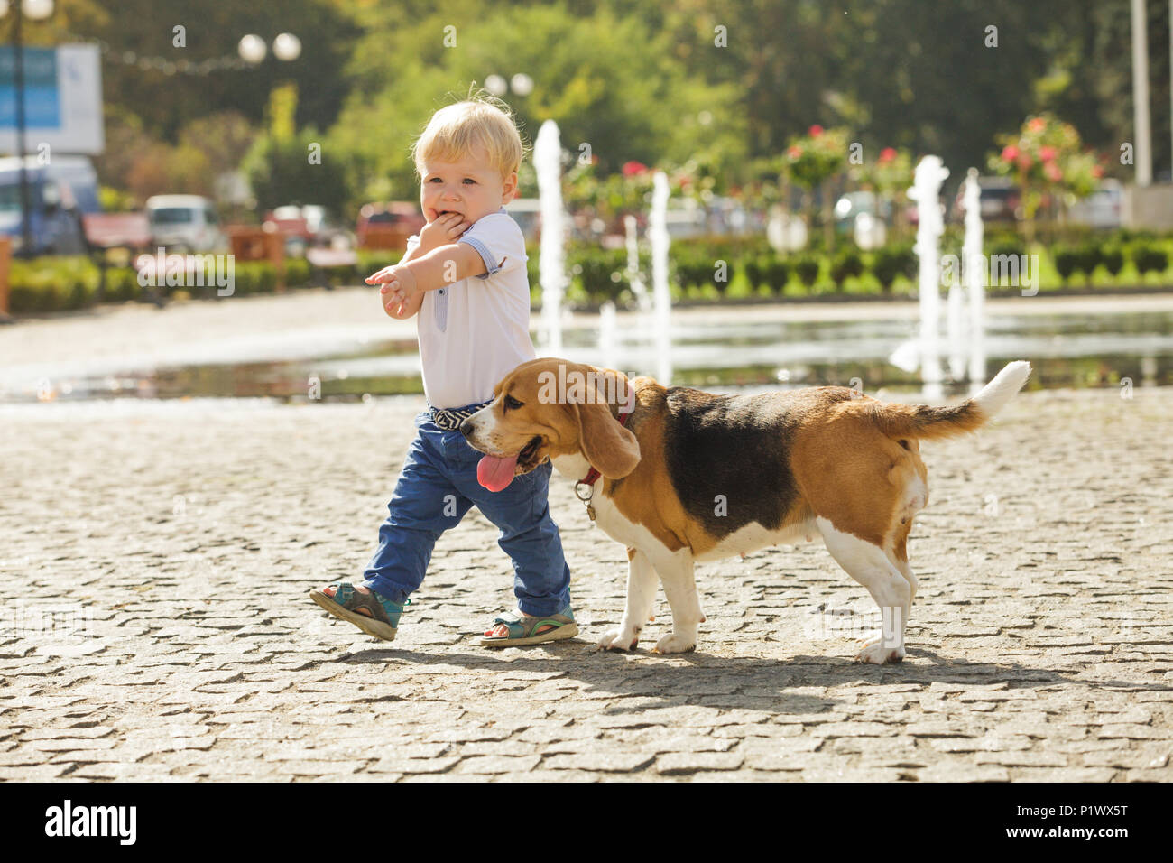 Child kid boy dog treat pet hi-res stock photography and images - Alamy