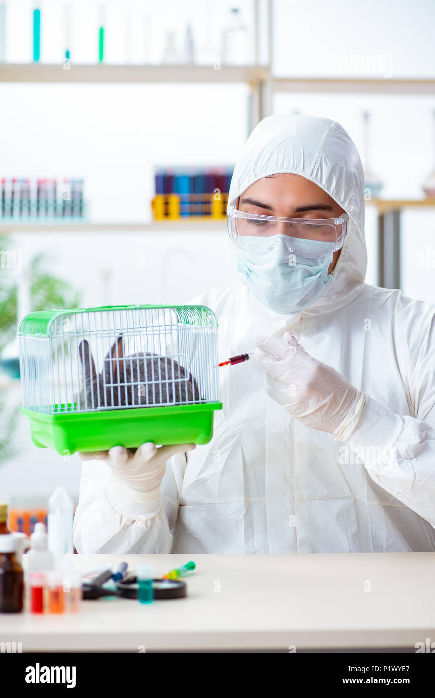 Scientist experimenting on animals hi-res stock photography and images ...