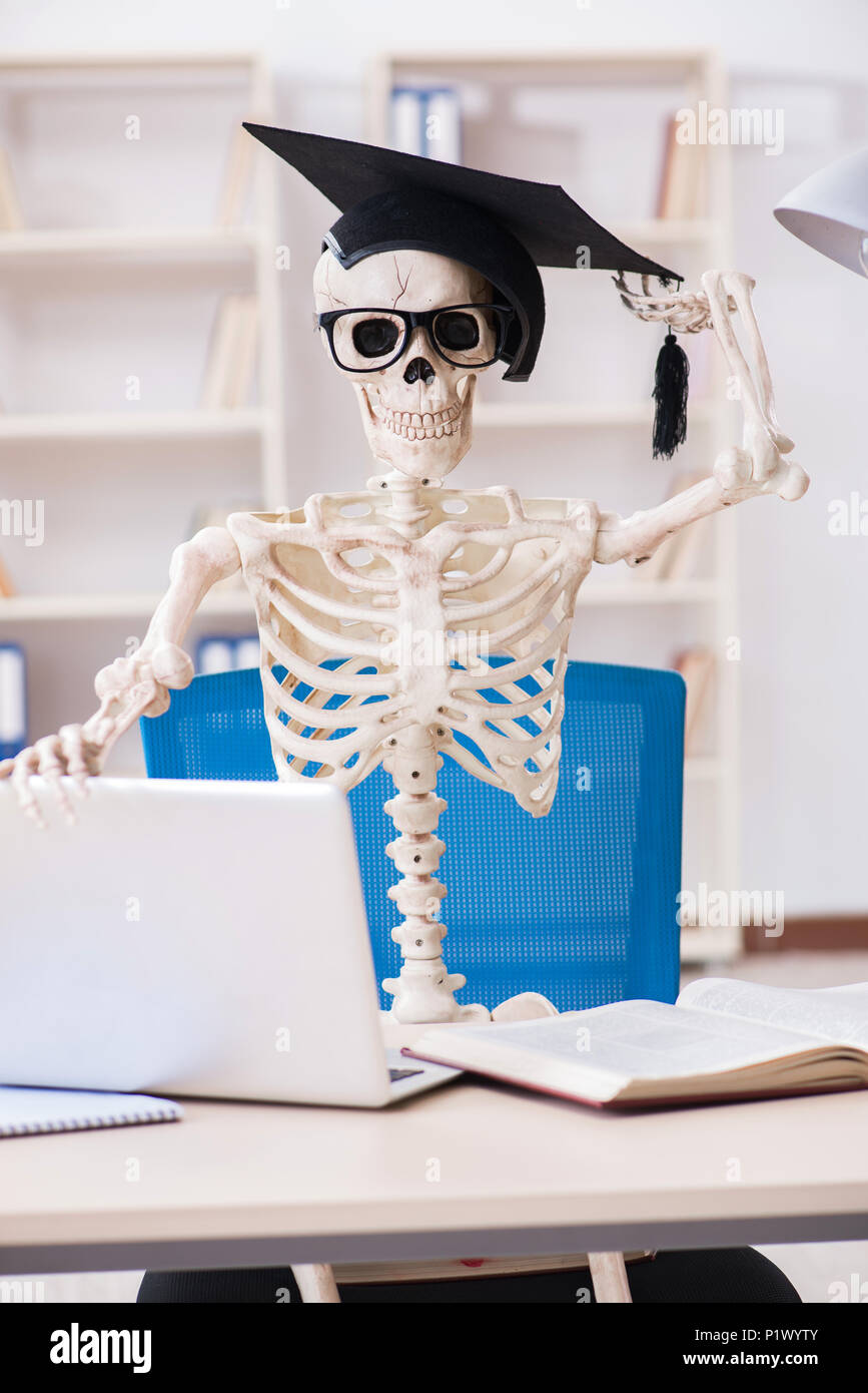 Student skeleton preparing for exams Stock Photo - Alamy