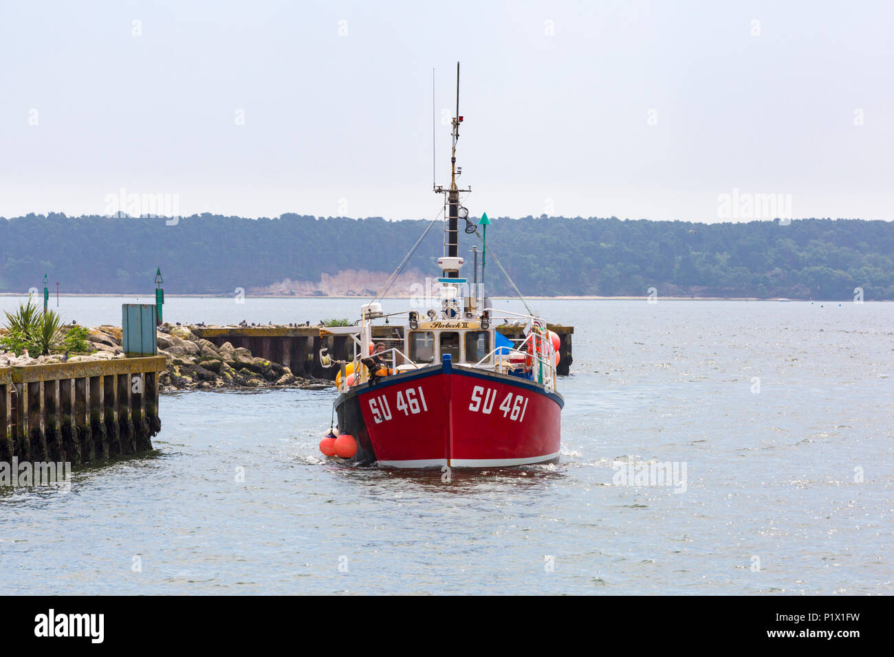 Fishing boat trawler Purbeck II returning to Poole at Poole Harbour ...