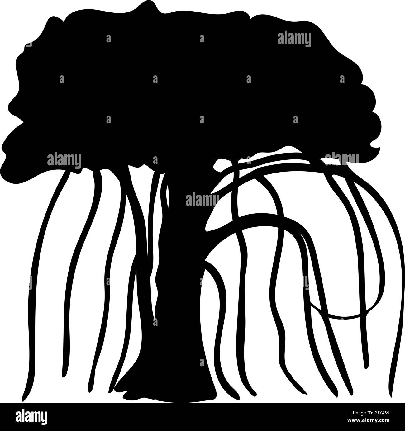 Tropical liana creeper plant hi-res stock photography and images - Alamy