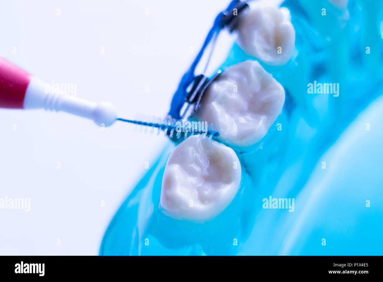 Inter dental teeth cleaning brush healthy floss action between each ...